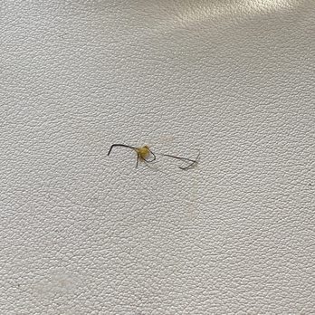 JINYE CAFE - Updated February 2025 - 84 Photos & 34 Reviews - 694 ...