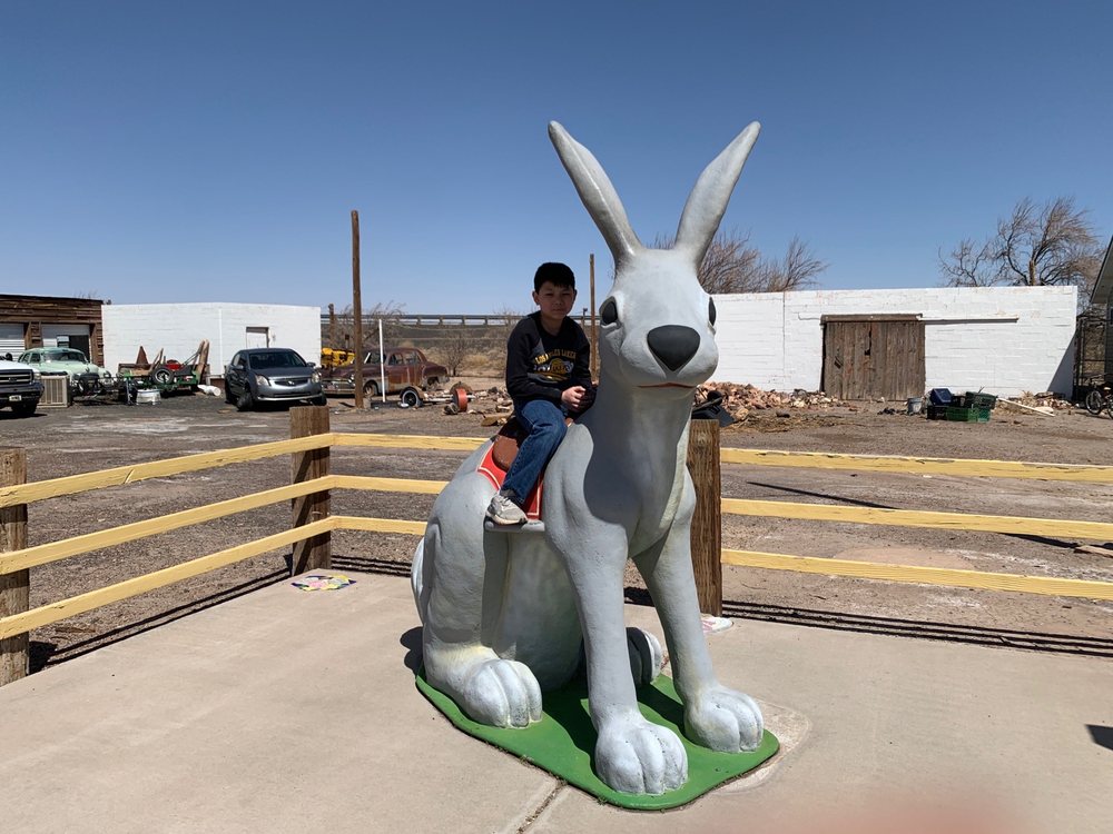 JACK RABBIT TRADING POST - Updated April 2025 - 53 Photos & 34 Reviews ...