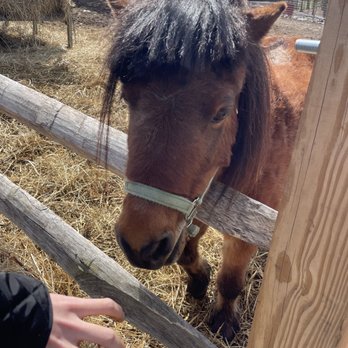 FLAMIG FARM - Updated November 2025 - 393 Photos & 73 Reviews - 7 ...