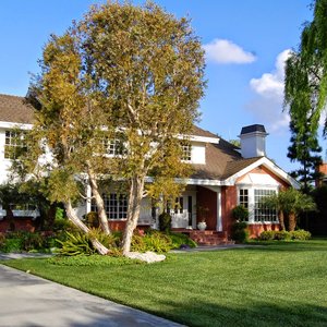 EMERGE LANDSCAPE - Updated August 2024 - 37 Photos - Anaheim ...