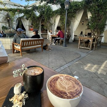 CAJÉ COFFEE - ARLINGTON ST - Updated January 2025 - 433 Photos & 198 ...