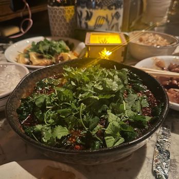 ASTORIA DC - Updated May 2024 - 687 Photos & 399 Reviews - 1521 17th St ...