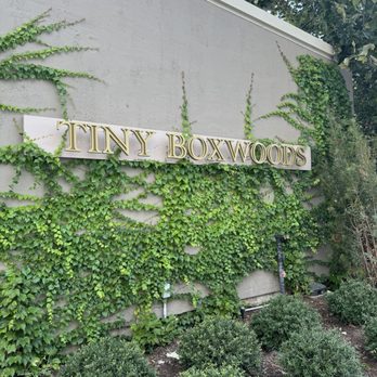 TINY BOXWOODS - Updated June 2024 - 1652 Photos & 1502 Reviews - 3614 W Alabama St, Houston ...