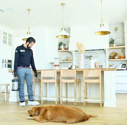 TRUFORCE PEST CONTROL - Updated October 2025 - 10 Photos & 17 Reviews ...