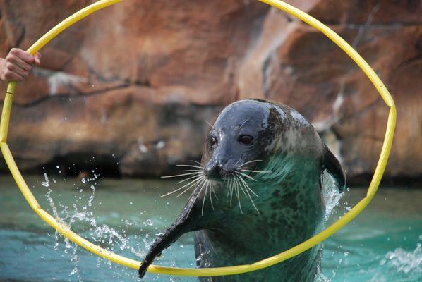 BUTTONWOOD PARK ZOO - Updated December 2025 - 248 Photos & 59 Reviews ...