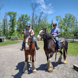 WATCHUNG STABLE - Updated October 2025 - 12 Photos - 1160 Summit Ln ...