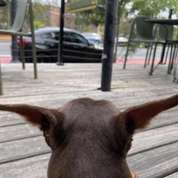 NAMASTE CAFÉ - 361 Photos & 359 Reviews - 2512 Hennepin Ave ...