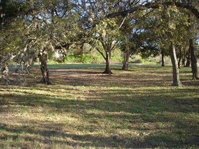 BIG STACY PARK - Updated January 2026 - 700 E Live Oak St, Austin ...