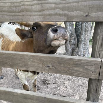 TURQUOISE ACRES RANCH - Updated December 2025 - 64 Photos & 10 Reviews ...