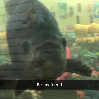 SHELL ISLAND CRUISES-ABOARD CAPT ANDERSON III - Updated January 2026 ...