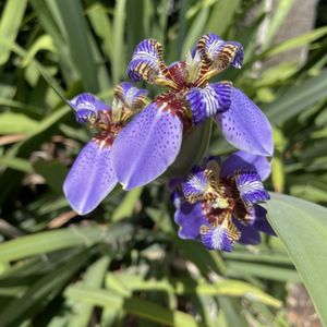 MERRYBROOK BAKING - Updated December 2025 - 18 Photos - 8228 Co Rd 245 ...