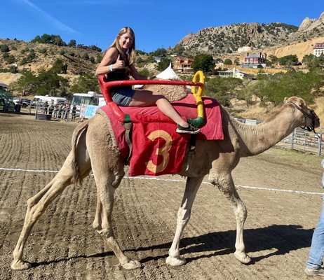 INTERNATIONAL CAMEL & OSTRICH RACES - Updated November 2025 - 31 Photos ...