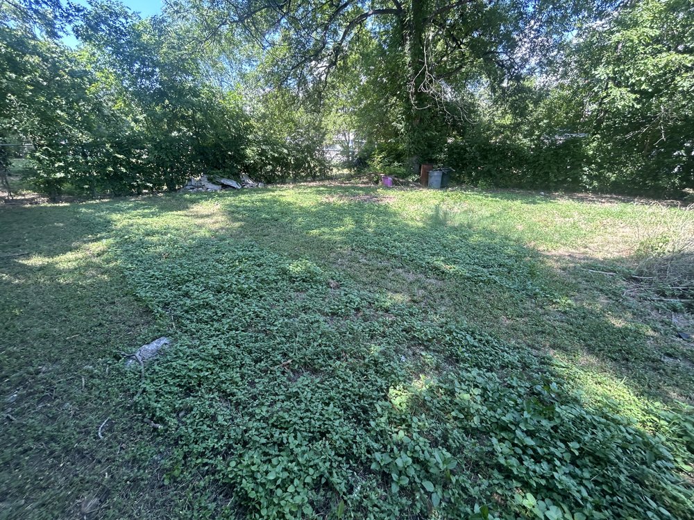 ABBY & MIKE LANDSCAPING - Updated June 2024 - 17 Photos - San Antonio ...