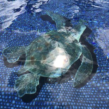 THOMAS GENTRY COMMUNITY CENTER - Updated December 2025 - 18 Photos - 91 ...