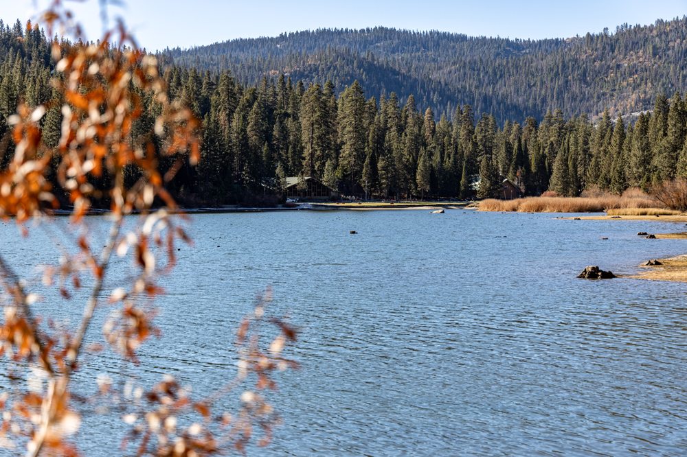 Hume Lake Camps, Hume | Roadtrippers