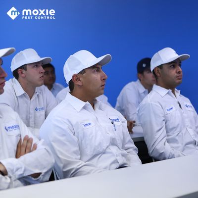 MOXIE PEST CONTROL - FT WORTH - Updated October 2025 - 82 Photos & 359 ...