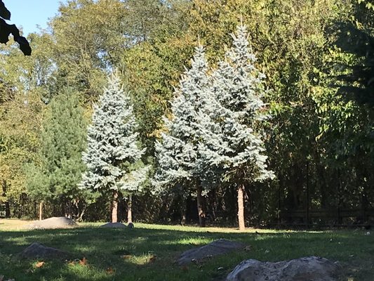 HIGHBRIDGE PARK - Updated January 2026 - 63 Photos & 38 Reviews - W 155 ...