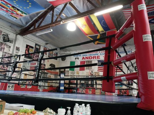 KING’S BOXING GYM - Updated August 2025 - 23 Photos & 40 Reviews - 843 ...