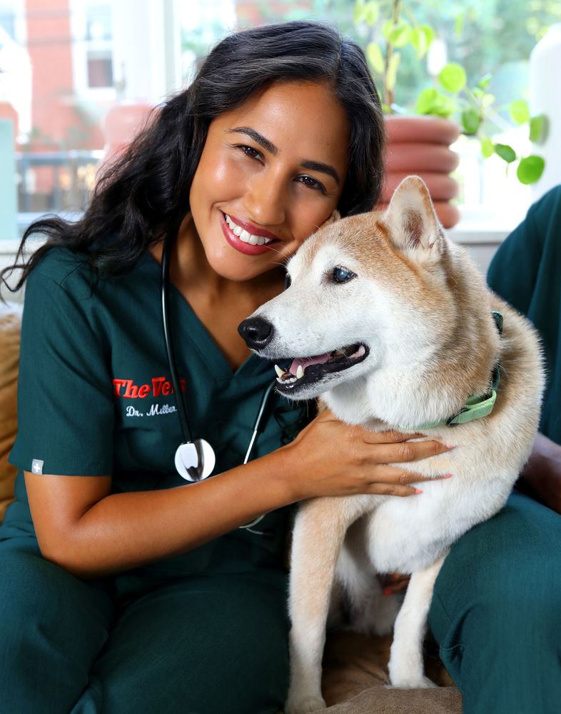 THE VETS - MOBILE VET CARE IN ATLANTA - Updated April 2026 - Atlanta ...