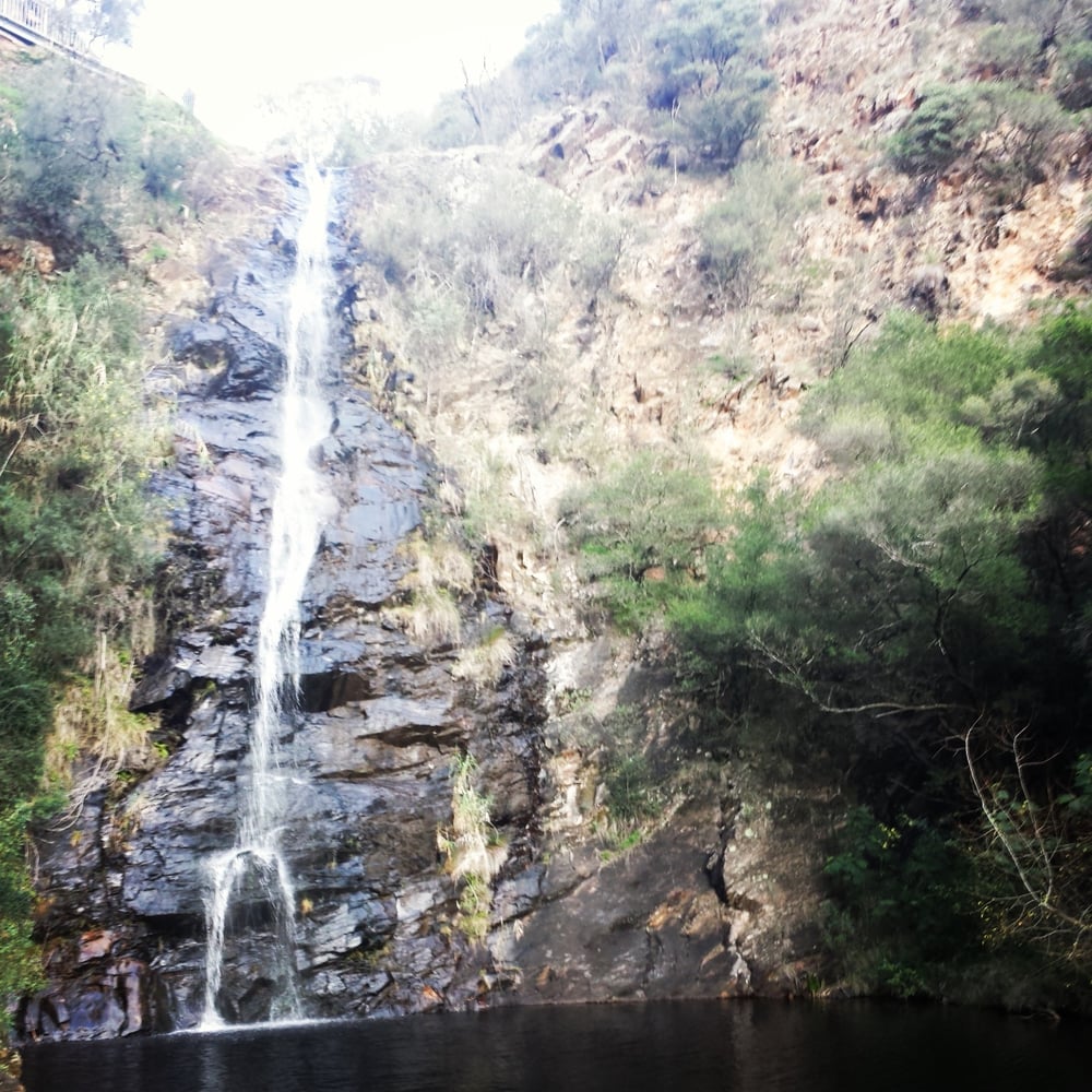 WATERFALL GULLY - Updated January 2025 - 17 Photos & 10 Reviews - 170 ...