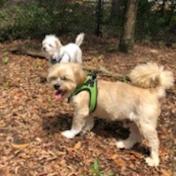 CONESTEE PARK - Updated December 2025 - 24 Photos & 15 Reviews - 840 ...