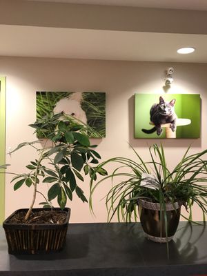 TORONTO VETERINARY EMERGENCY HOSPITAL - Updated January 2026 - 21 ...