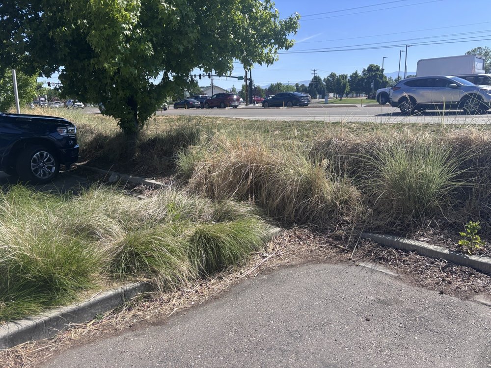 STAPLES - Updated December 2025 - 13 Photos & 33 Reviews - 6299 Eagle ...