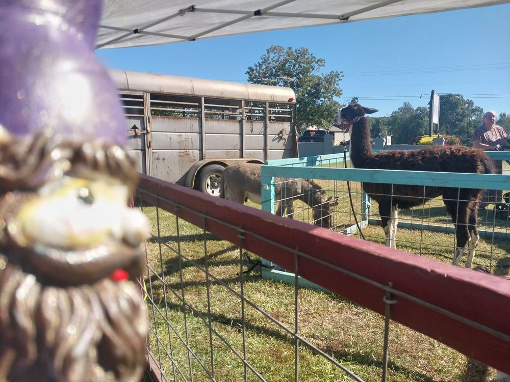 LIGHTHOUSE RANCH FOR BOYS - Updated July 2025 - 20 Photos - 51453 ...