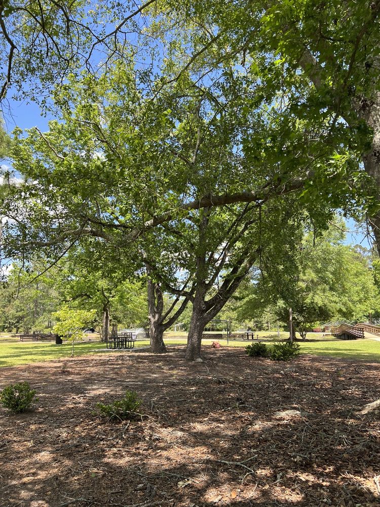 SHELBY PARK - Updated October 2025 - 30 Photos - Statesboro, Georgia ...