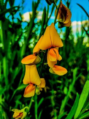 MERK FARMS - Updated October 2025 - 23 Photos - 233 Mitchell Rd ...