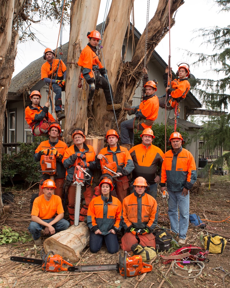 SIGNATURE TREE SERVICE - Updated October 2025 - 29 Photos & 31 Reviews ...