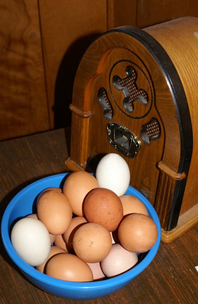 SUZY’S OLD FIELD FARM - Updated March 2025 - 3160 State Hwy 132 ...