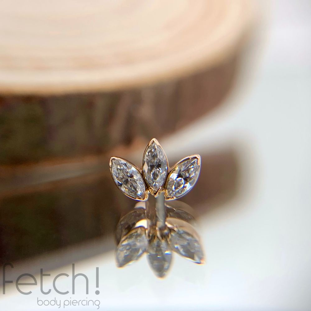 FETCH BODY PIERCING - Updated January 2025 - 44 Photos & 57 Reviews ...