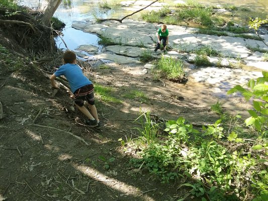 Como Lake Park - 37 Photos & 14 Reviews - Parks - 2220 Como Park Blvd ...