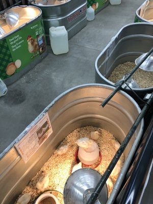 RURAL KING - Updated June 2025 - 28 Photos & 19 Reviews - 10400 ...