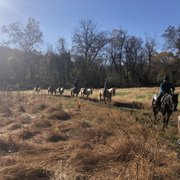 THE MARRIOTT RANCH BED AND BREAKFAST - 111 Photos & 41 Reviews - 5305 ...