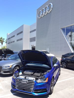 AUDI FORT LAUDERDALE - Updated January 2026 - 42 Photos & 96 Reviews ...
