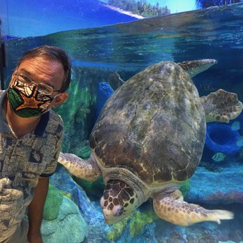 Oklahoma Aquarium - 230 Photos & 114 Reviews - Aquariums - 300 Aquarium ...