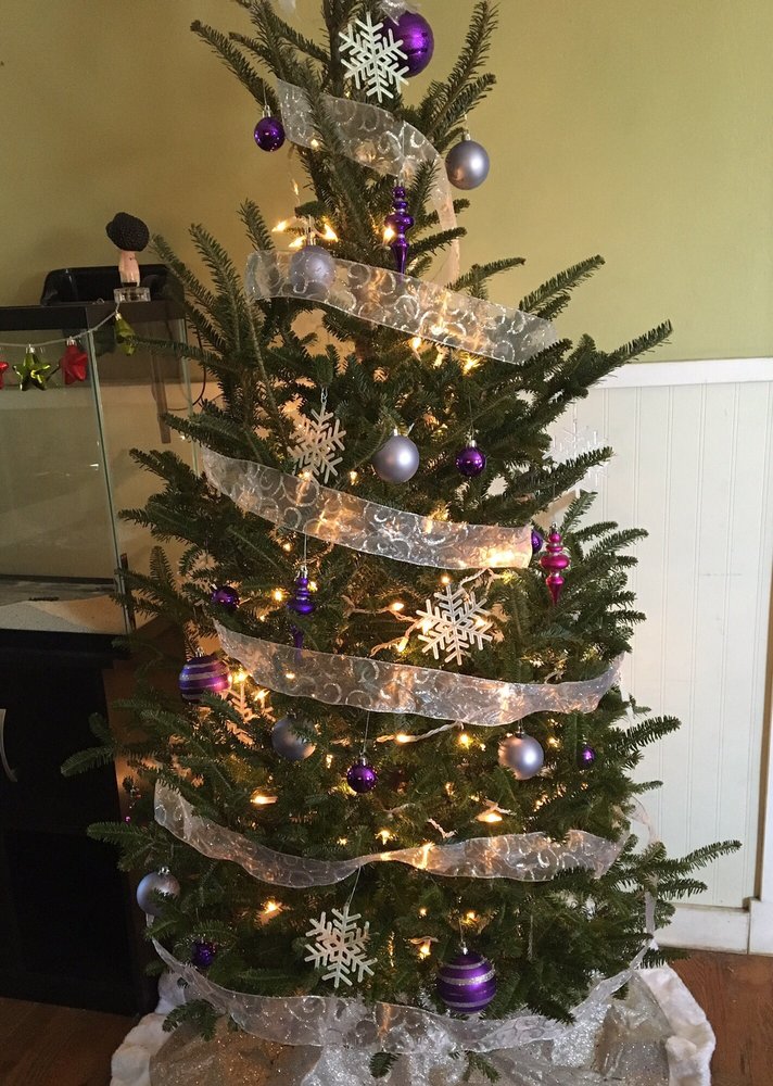 TREE LAND CHRISTMAS TREES - Updated December 2025 - 42 Reviews - 1720 S ...