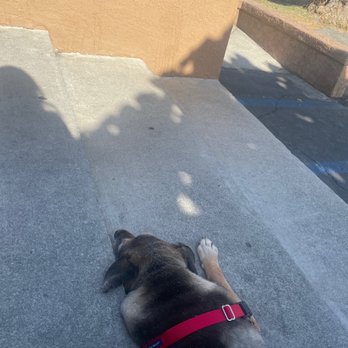 LOMA LINDA ANIMAL HOSPITAL - Updated December 2024 - 229 Photos & 726 ...