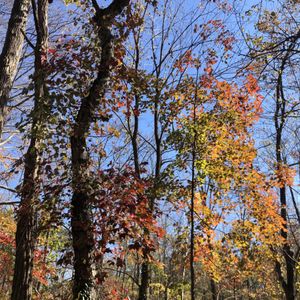 BWI BIKE TRAIL - Updated April 2026 - 88 Photos & 14 Reviews - 595 Camp ...