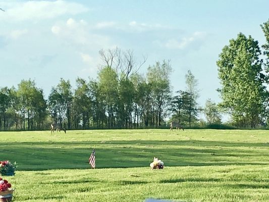 MARYHILL CEMETERY & MAUSOLEUM - Updated January 2026 - 18 Photos & 17 ...