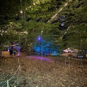 THE ADVENTURE PARK AT THE DISCOVERY MUSEUM - 58 Photos & 67 Reviews ...