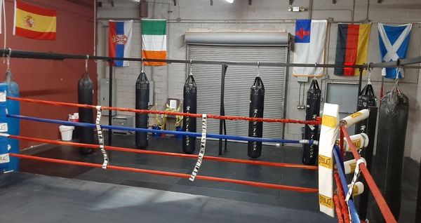 HARD KNOCKS GYM - Updated May 2026 - 11 Photos & 12 Reviews - 11042 N ...