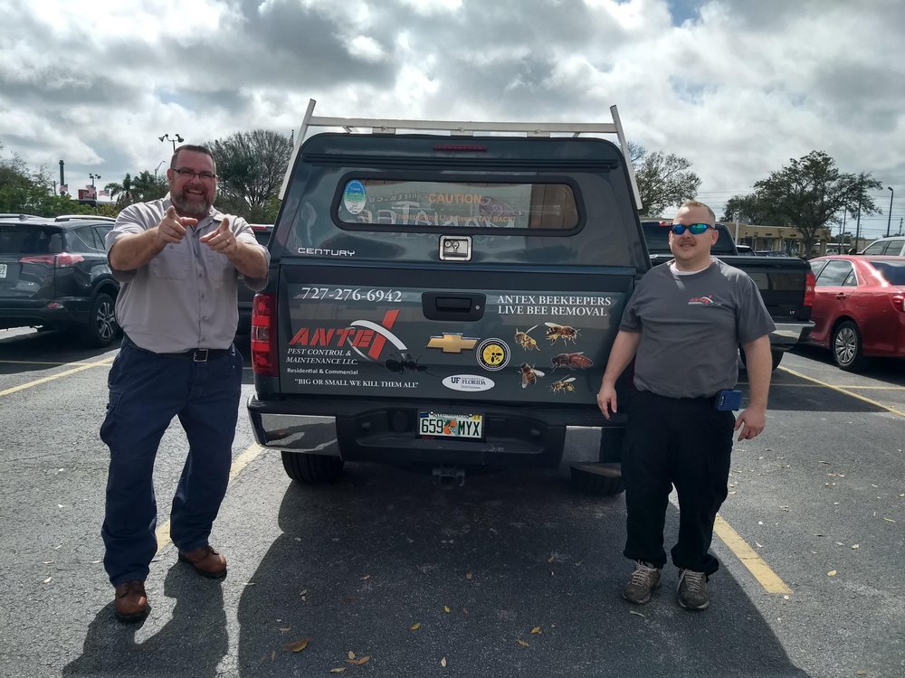 ANTEX PEST CONTROL & MAINTENANCE - Updated December 2025 - 18 Photos ...