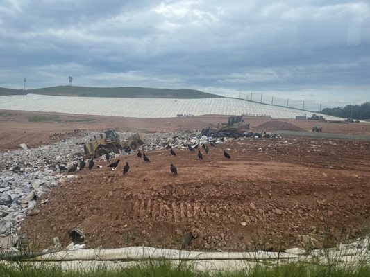 LOUDOUN COUNTY LANDFILL - Updated December 2025 - 10 Photos & 10 ...