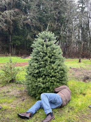 FURROW FARM - TEMP. CLOSED - Updated January 2026 - 80 Photos & 55 ...