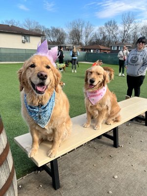 BUMBLE’S BACKYARD - Updated September 2025 - 1280 Brown Rd, Columbus ...