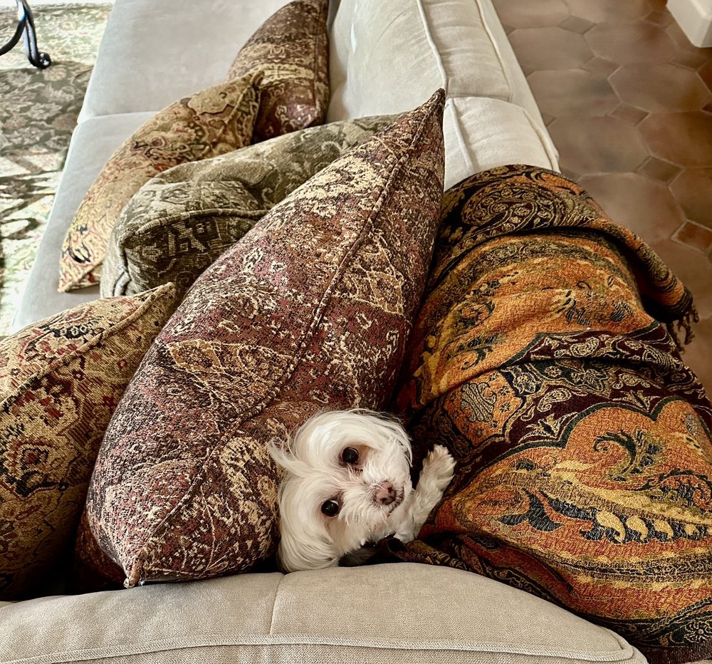 DAVID LEPE UPHOLSTERY - Updated December 2025 - 30 Photos & 13 Reviews ...