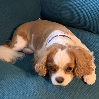 VRC - Updated July 2025 - 44 Photos & 147 Reviews - 340 Lancaster Ave ...